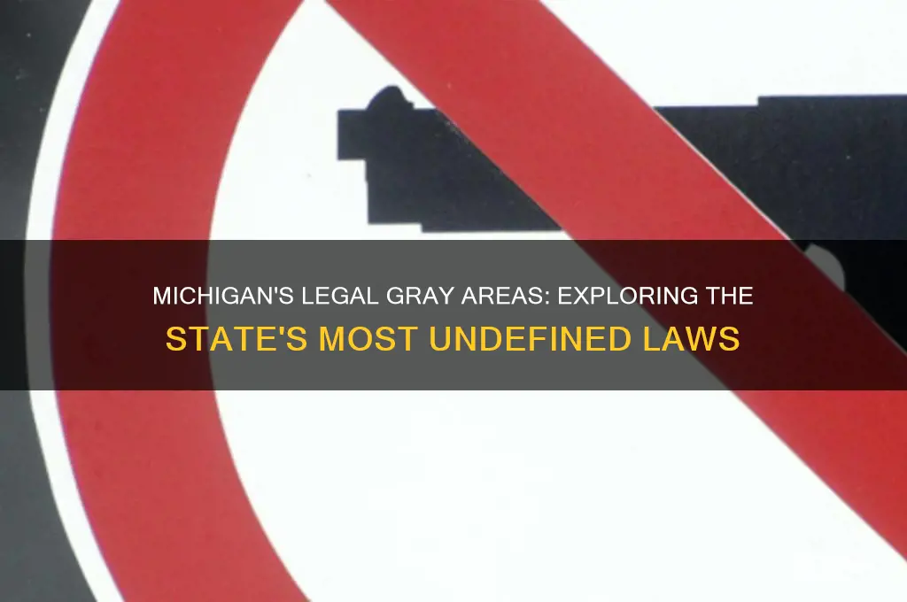 Michigan's Legal Gray Areas: Exploring The State's Most Undefined Laws ...