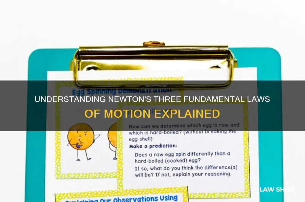 Understanding Newton's Three Fundamental Laws Of Motion Explained | LawShun