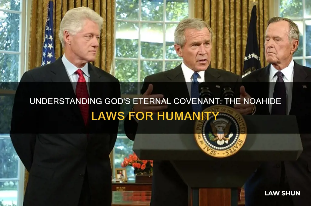 Understanding God's Eternal Covenant: The Noahide Laws For Humanity ...