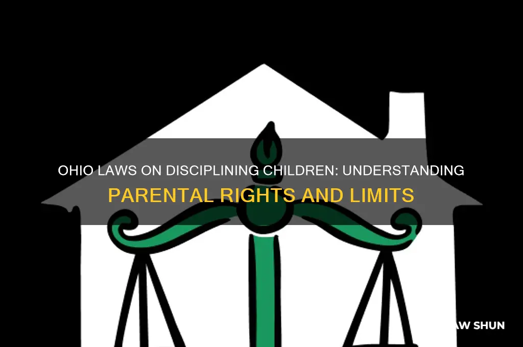 Ohio Laws On Disciplining Children: Understanding Parental Rights And ...