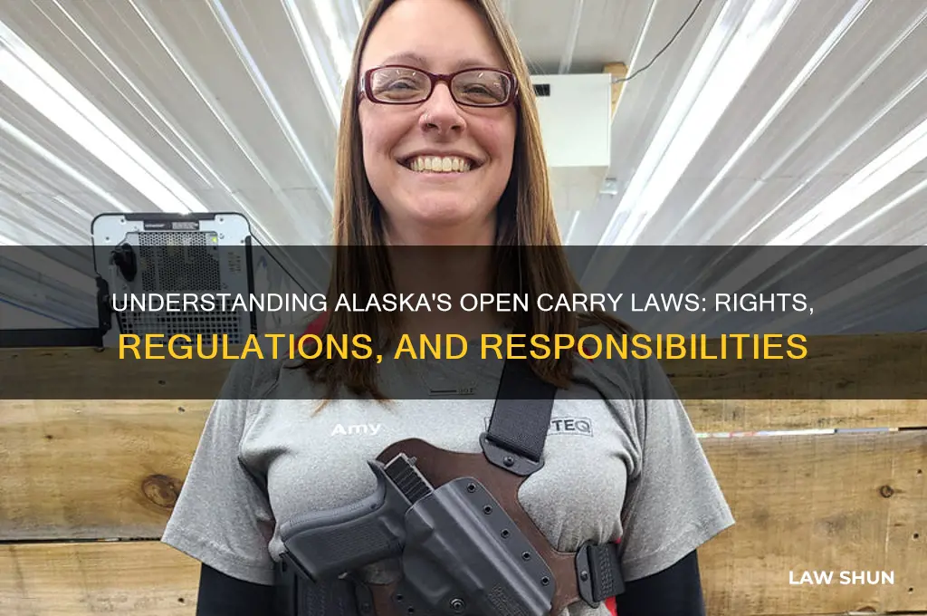 Understanding Alaska's Open Carry Laws: Rights, Regulations, And ...