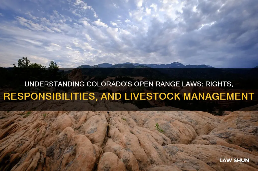 Understanding Colorado's Open Range Laws: Rights, Responsibilities, And ...