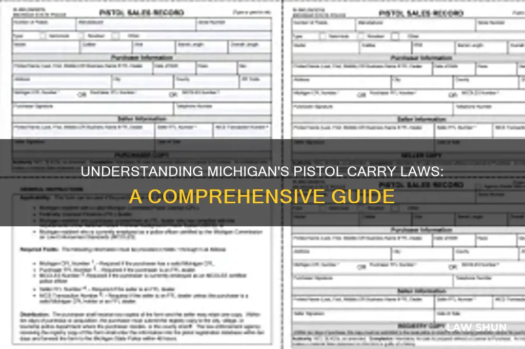 Understanding Michigan's Pistol Carry Laws: A Comprehensive Guide | LawShun