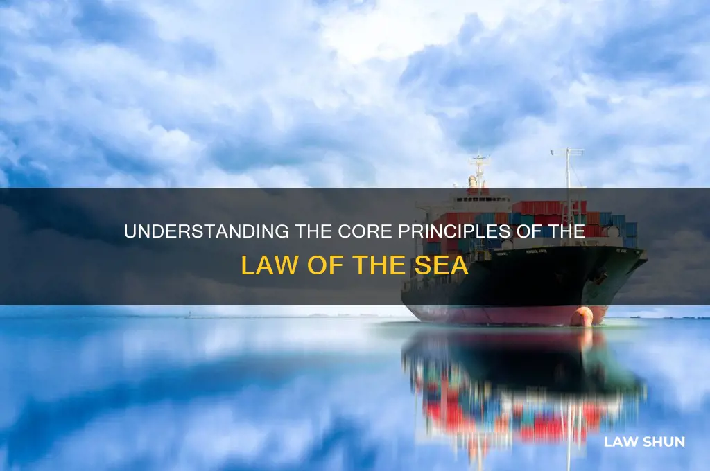 Understanding The Core Principles Of The Law Of The Sea | LawShun