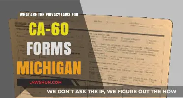 Unusual Michigan Laws: Strange Rules You Won't Believe Exist | LawShun