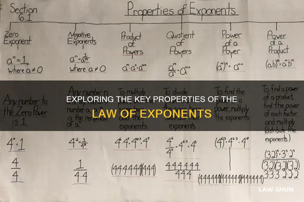 Exploring The Key Properties Of The Law Of Exponents | LawShun