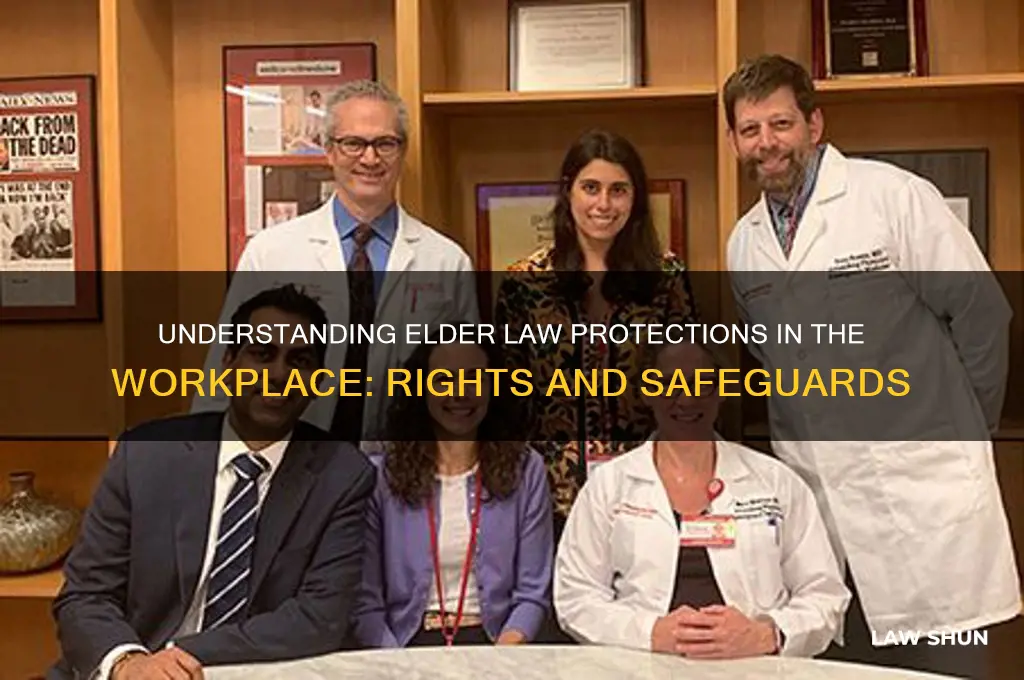Understanding Elder Law Protections In The Workplace: Rights And ...