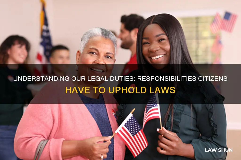 Understanding Our Legal Duties: Responsibilities Citizens Have To ...