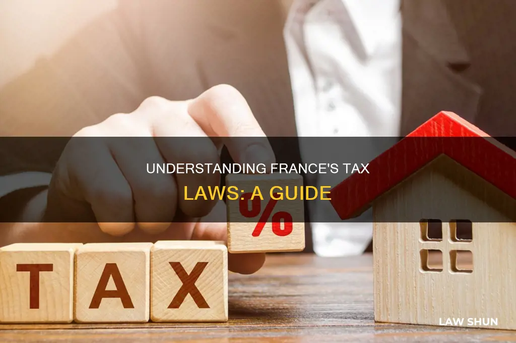 Understanding France's Tax Laws: A Guide | LawShun