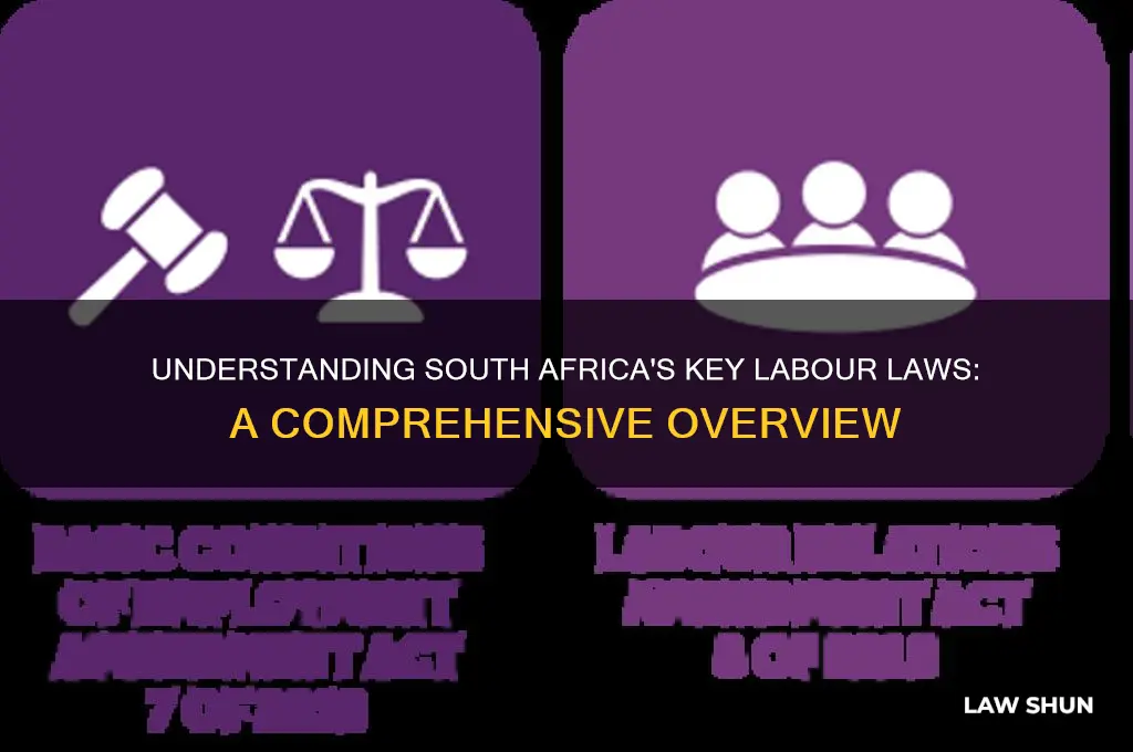 Understanding South Africa's Key Labour Laws: A Comprehensive Overview ...