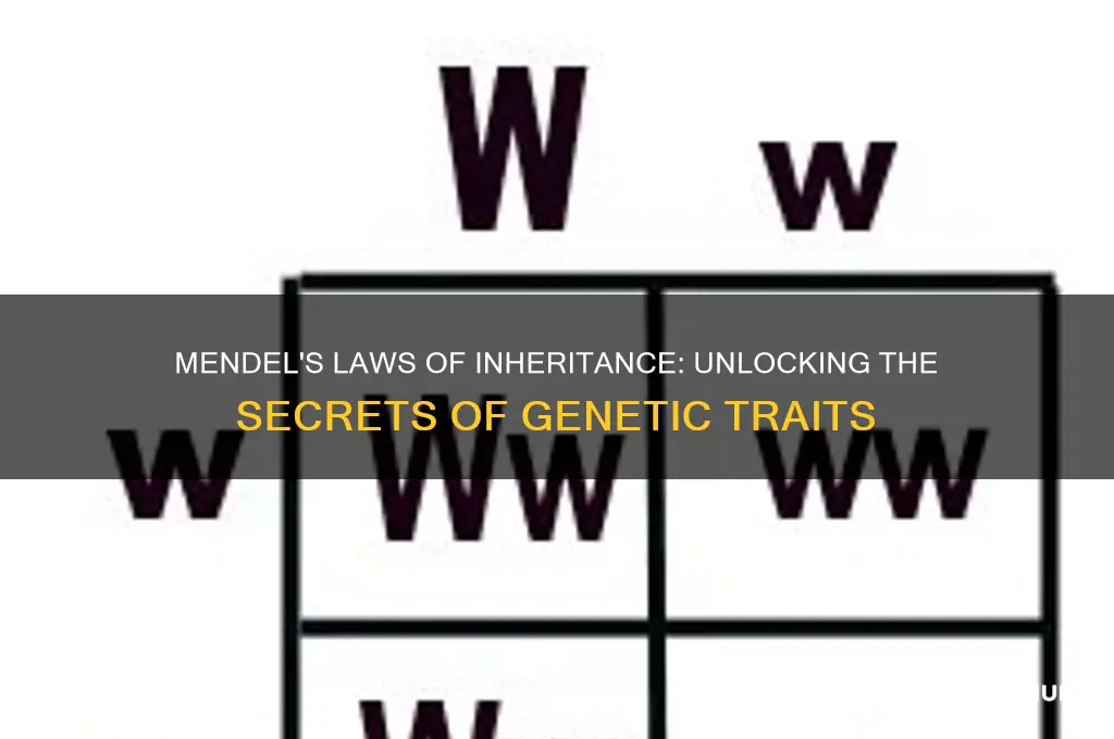 Mendel's Laws Of Inheritance: Unlocking The Secrets Of Genetic Traits ...