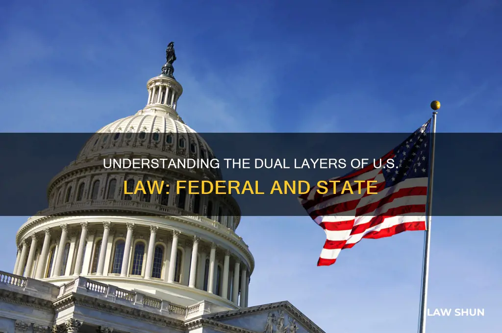 Understanding The Dual Layers Of U.S. Law: Federal And State | LawShun