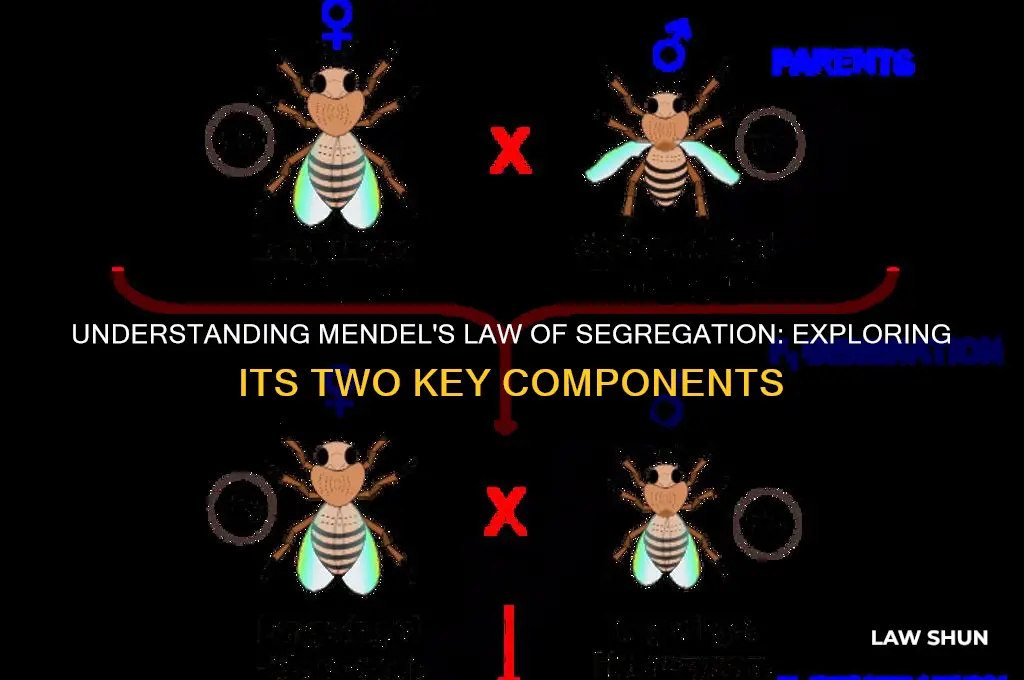 Understanding Mendel's Law Of Segregation: Exploring Its Two Key ...
