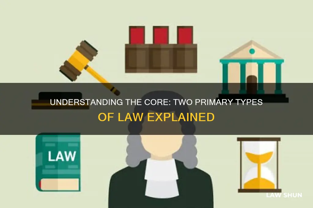 Understanding The Core: Two Primary Types Of Law Explained | LawShun