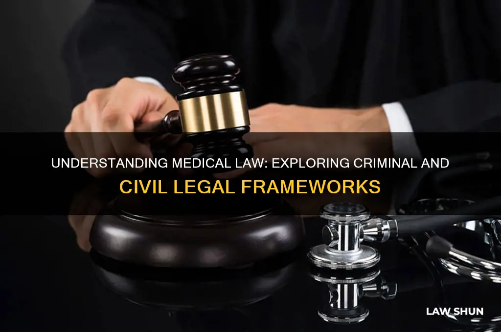Understanding Medical Law: Exploring Criminal And Civil Legal ...