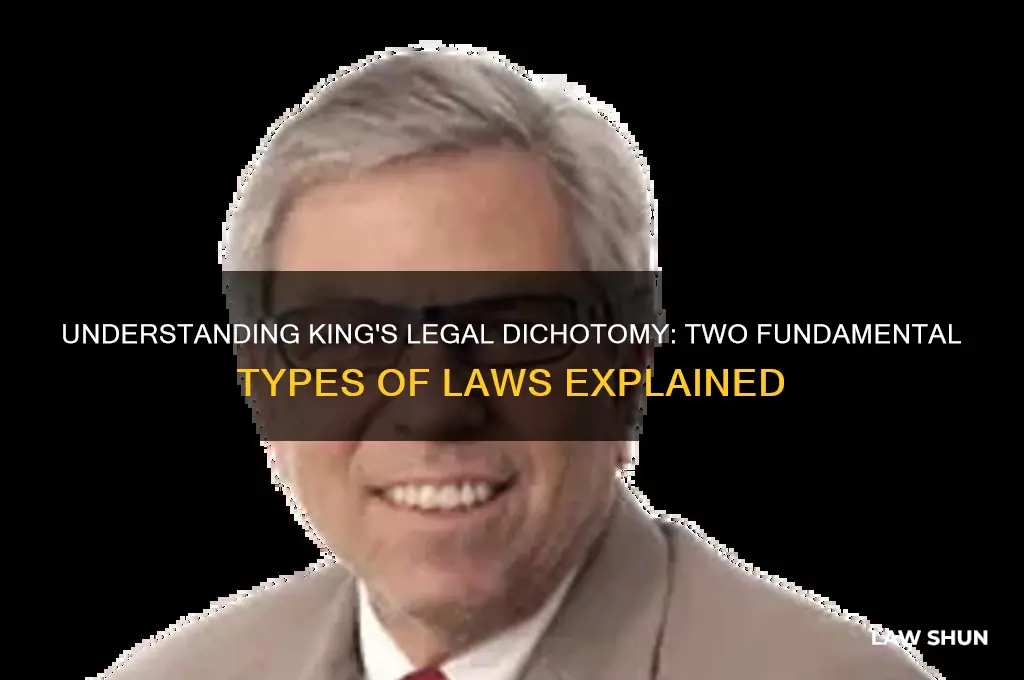 Understanding King's Legal Dichotomy: Two Fundamental Types Of Laws ...
