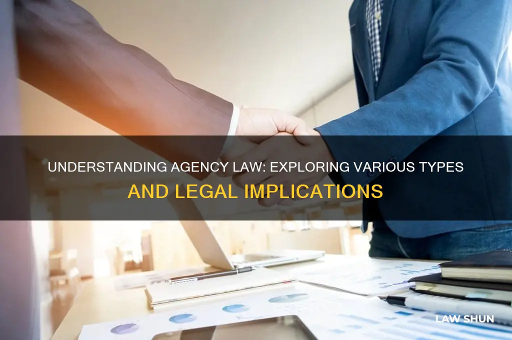 Understanding Agency Law: Exploring Various Types And Legal ...