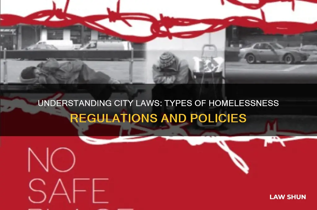 Understanding City Laws: Types Of Homelessness Regulations And Policies ...