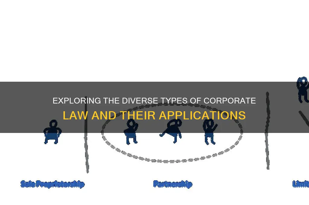 Exploring The Diverse Types Of Corporate Law And Their Applications ...