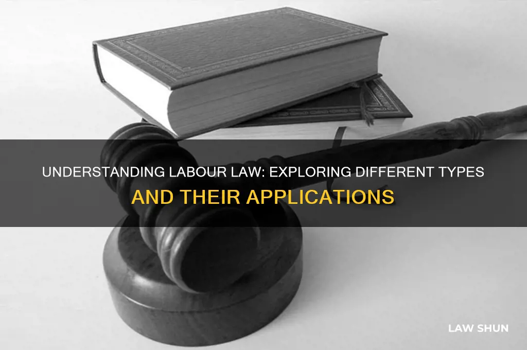 Understanding Labour Law: Exploring Different Types And Their ...