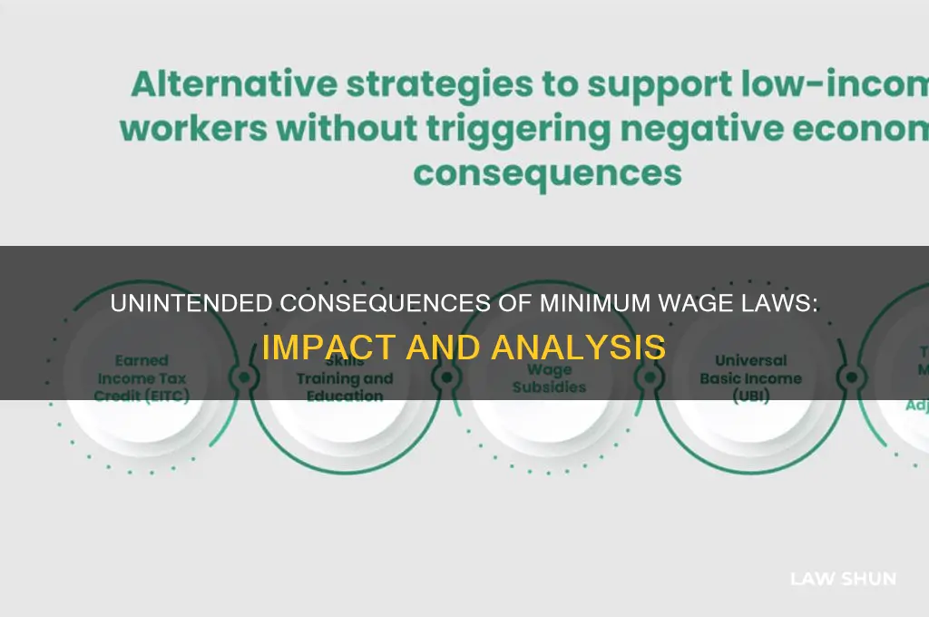 Unintended Consequences Of Minimum Wage Laws: Impact And Analysis | LawShun