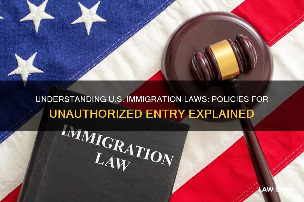Understanding U.S. Immigration Laws: Policies For Unauthorized Entry ...