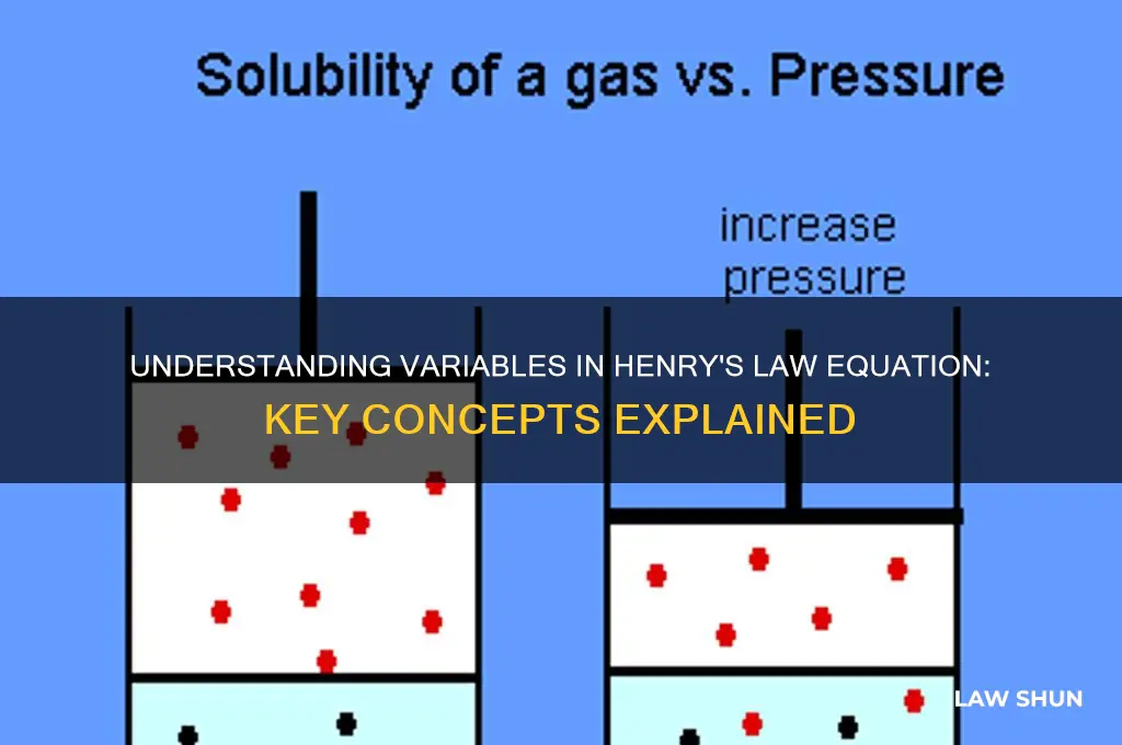 Understanding Variables In Henry's Law Equation: Key Concepts Explained ...