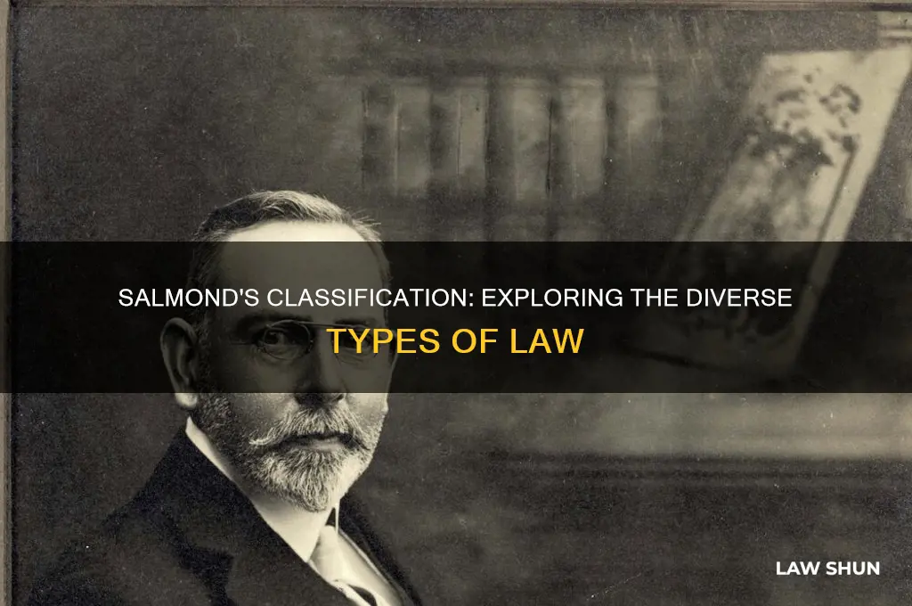 Salmond's Classification: Exploring The Diverse Types Of Law | LawShun