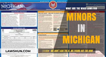 Understanding Michigan's Mental Health Laws: Rights, Protections, And ...
