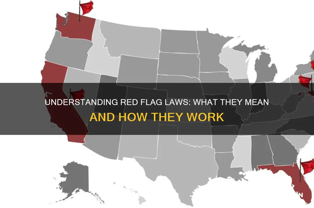 Understanding Red Flag Laws: What They Mean And How They Work | LawShun