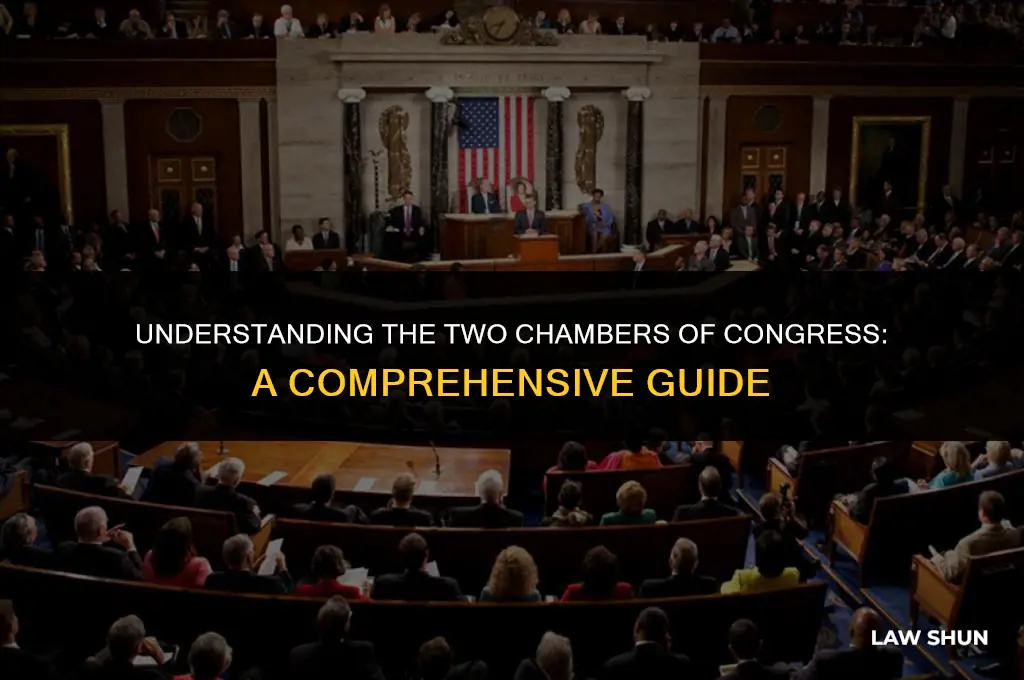 Understanding The Two Chambers Of Congress: A Comprehensive Guide | LawShun