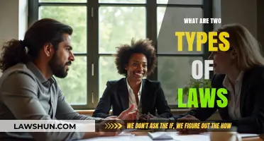 Exploring The Four Primary Legal Categories And Their Significance ...