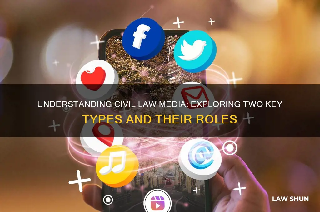 Understanding Civil Law Media: Exploring Two Key Types And Their Roles ...