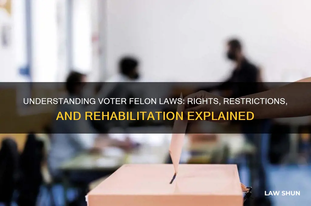 Understanding Voter Felon Laws: Rights, Restrictions, And ...