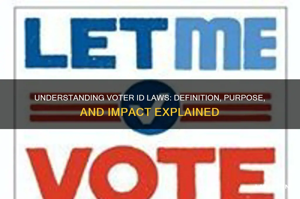 Understanding Voter Id Laws: Definition, Purpose, And Impact Explained ...
