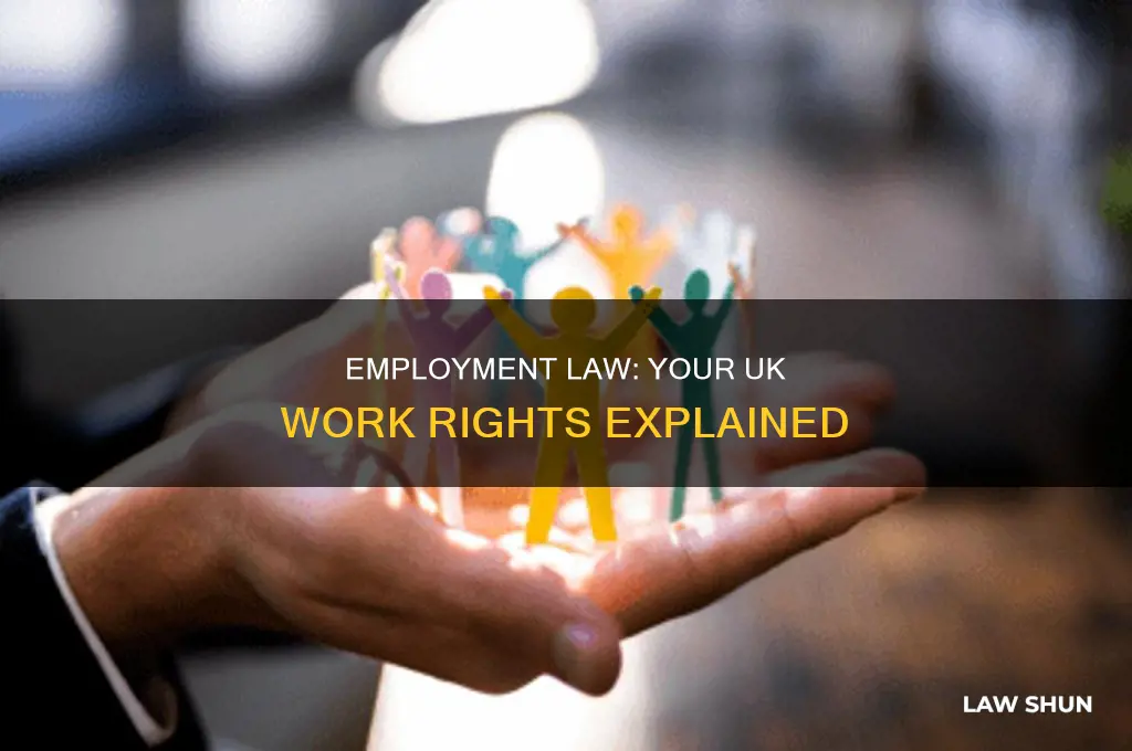 Employment Law: Your Uk Work Rights Explained | LawShun