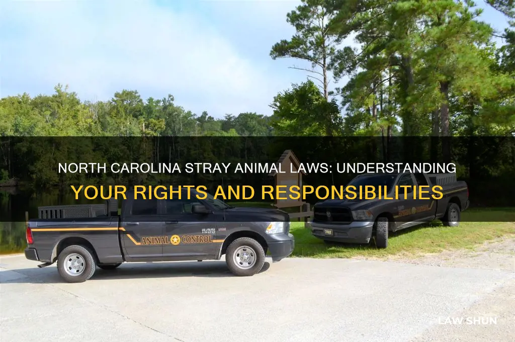 North Carolina Stray Animal Laws: Understanding Your Rights And ...