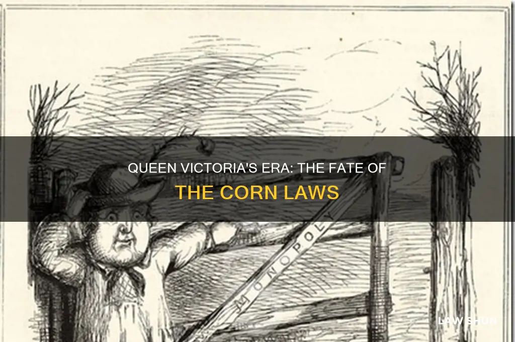 Queen Victoria's Era: The Fate Of The Corn Laws | LawShun