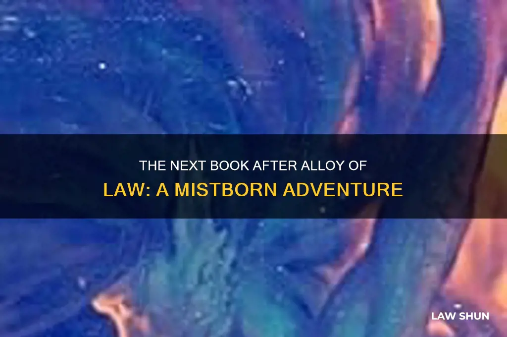 The Next Book After Alloy Of Law: A Mistborn Adventure | LawShun