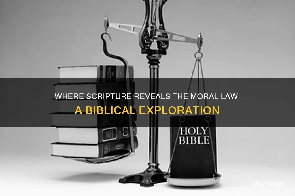 Where Scripture Reveals The Moral Law: A Biblical Exploration | LawShun