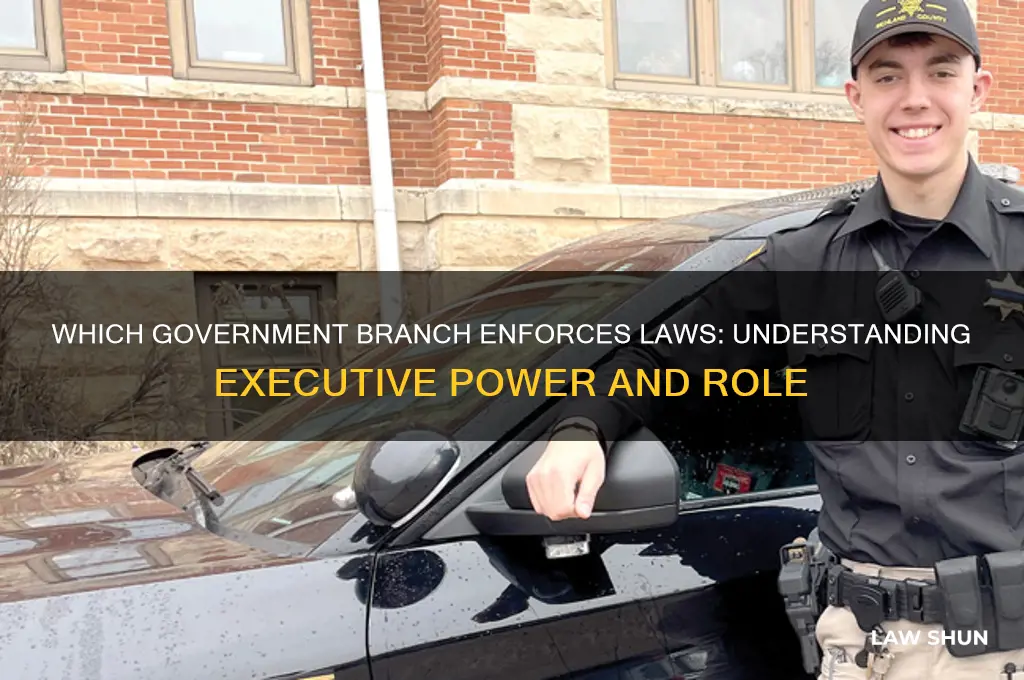 Which Government Branch Enforces Laws: Understanding Executive Power ...