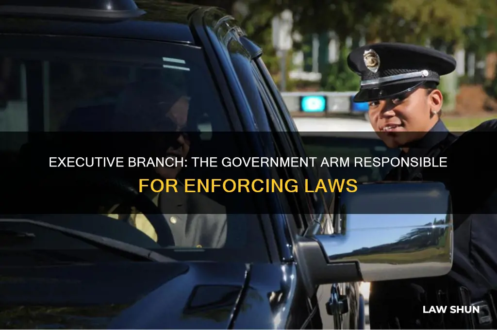 Executive Branch: The Government Arm Responsible For Enforcing Laws ...