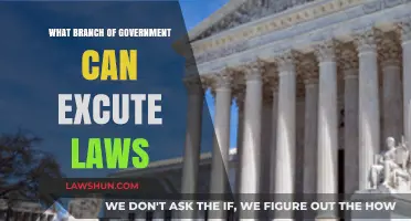 Enforcing The Law: Which Branch Holds The Power? | LawShun