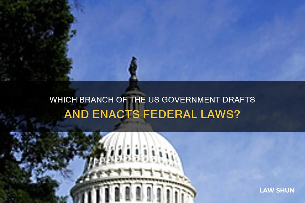 Which Branch Of The Us Government Drafts And Enacts Federal Laws? | LawShun