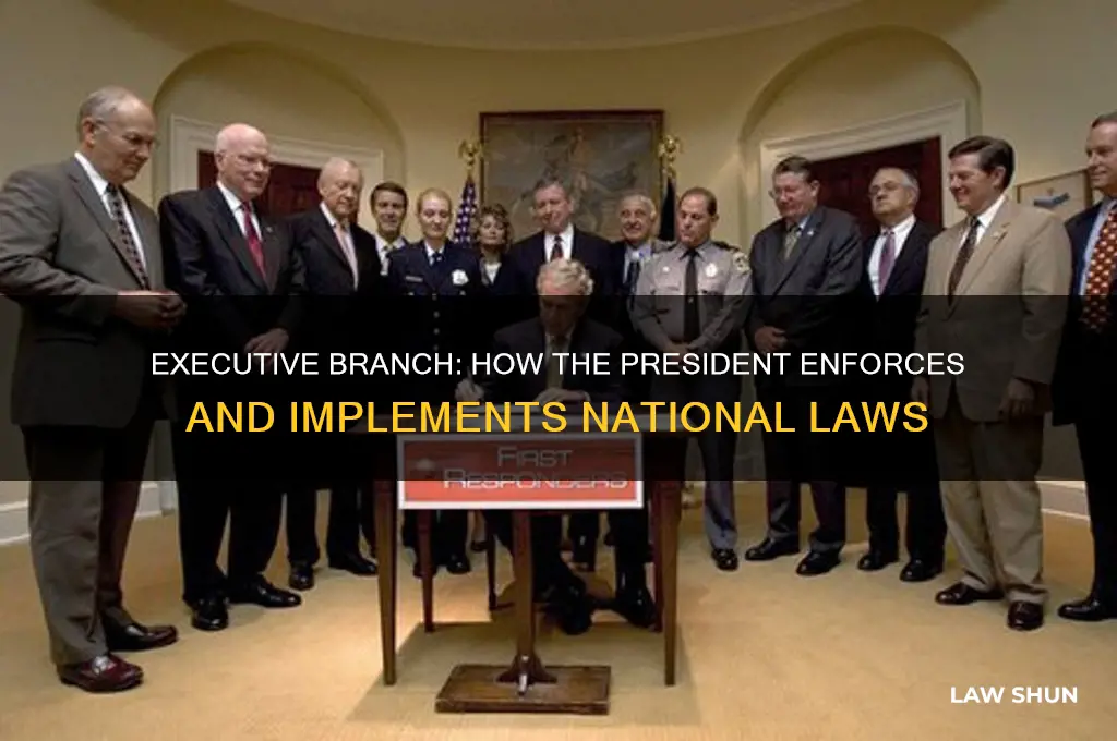 Executive Branch: How The President Enforces And Implements National ...