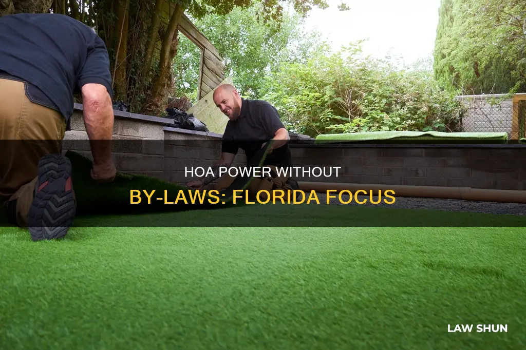 Hoa Power Without By-Laws: Florida Focus | LawShun