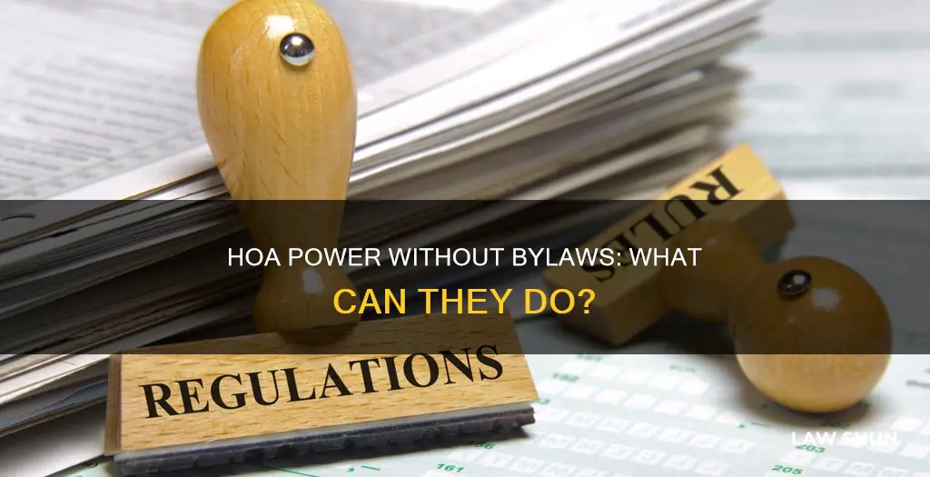 Hoa Power Without Bylaws: What Can They Do? | LawShun