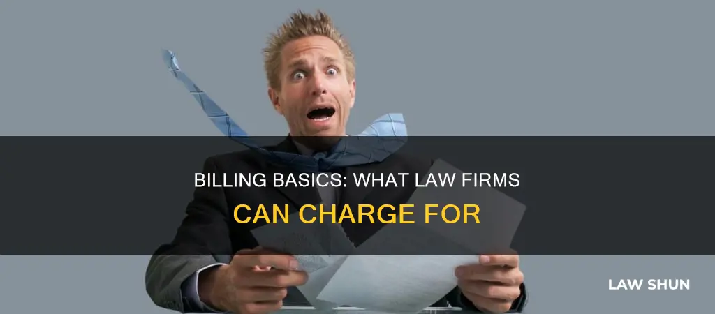 Billing Basics: What Law Firms Can Charge For | LawShun