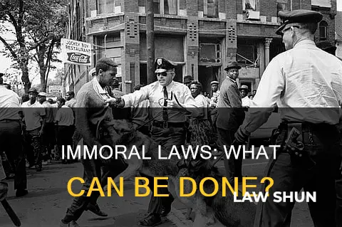 Immoral Laws: What Can Be Done? | LawShun