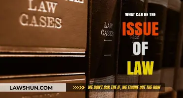 Court Rulings: What Can Be Decided And Enforced? | LawShun